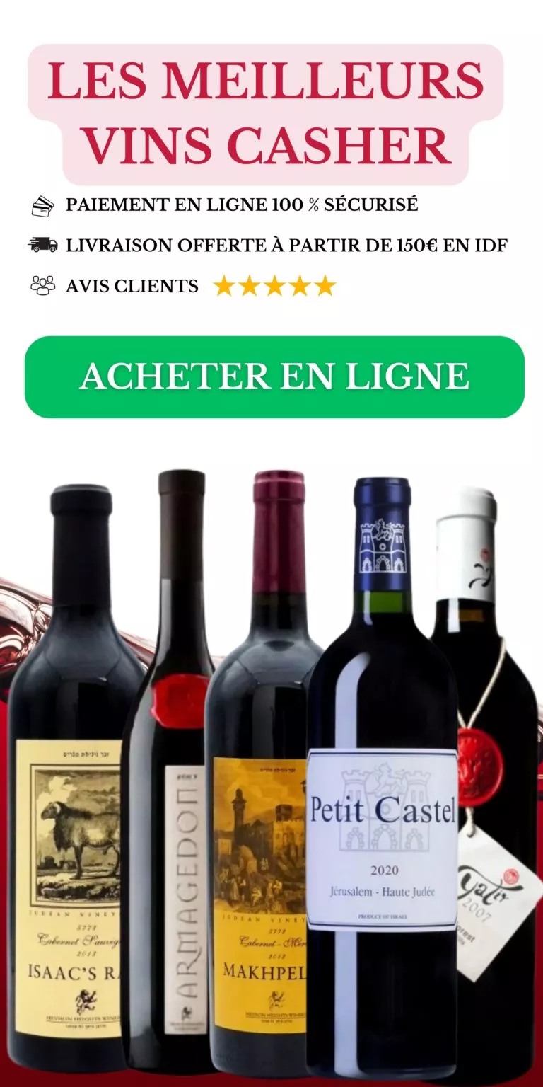 Ce que vous devez savoir sur le vin à Pessah | Anavim